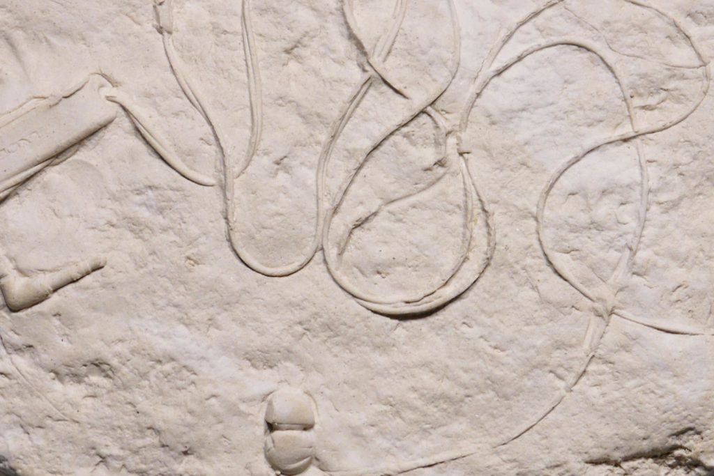 EVENTS - Wasserman Projects