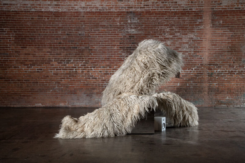 ALEX SCHWEDER - Wasserman Projects