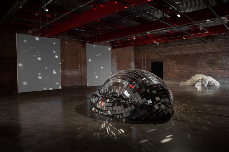 ALEX SCHWEDER - Wasserman Projects