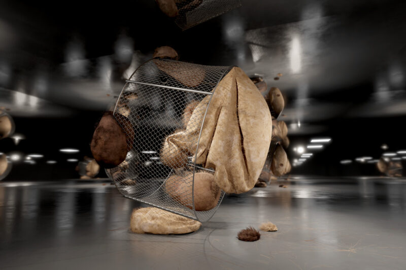 ALEX SCHWEDER - Wasserman Projects